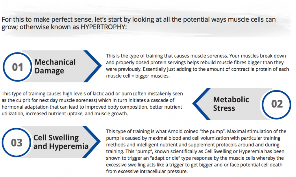 How to Trigger Hyperplasia for Maximum Muscle Growth